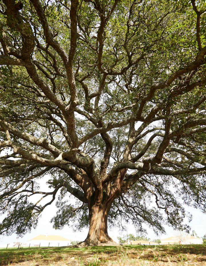 Gürtelgrößen - so lang sollte dein Gürtel sein – Simaru